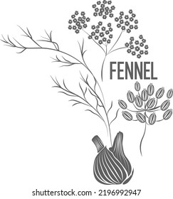 Fennel Herb Vector Silhouette Fennel Bulb Stock Vector (Royalty Free) 2196992947 | Shutterstock