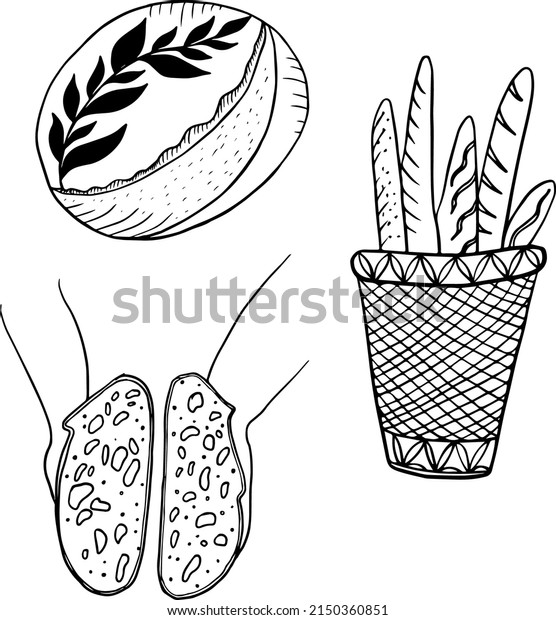 Fermented Sourdough Bread Vector Illustration Set: เวกเตอร์สต็อก (ปลอด ...