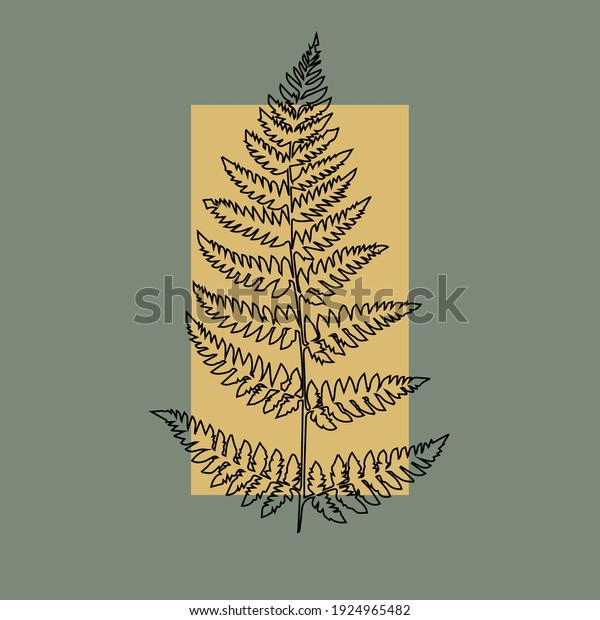 Fern Leaf Aesthetics Flat Illustration Stock Vector (Royalty Free ...