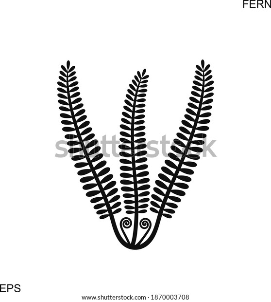 Fern Logo Isolated Fern On White Stock Vector (Royalty Free) 1870003708 ...