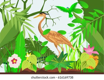 51 Feron Images, Stock Photos & Vectors | Shutterstock