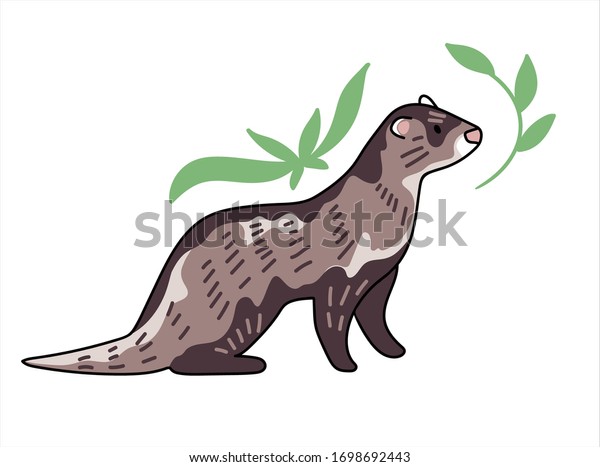 Ferret Vector Illustration Hand Drawn Cute Stock Vector (Royalty Free ...