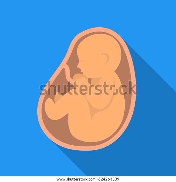 Fetus Icon Flat Style Isolated On Stock Vector (Royalty Free) 624263309 ...