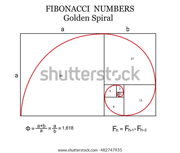 Fibonacci Spiral Known Golden Spiral Basic Stock Vector (Royalty Free ...