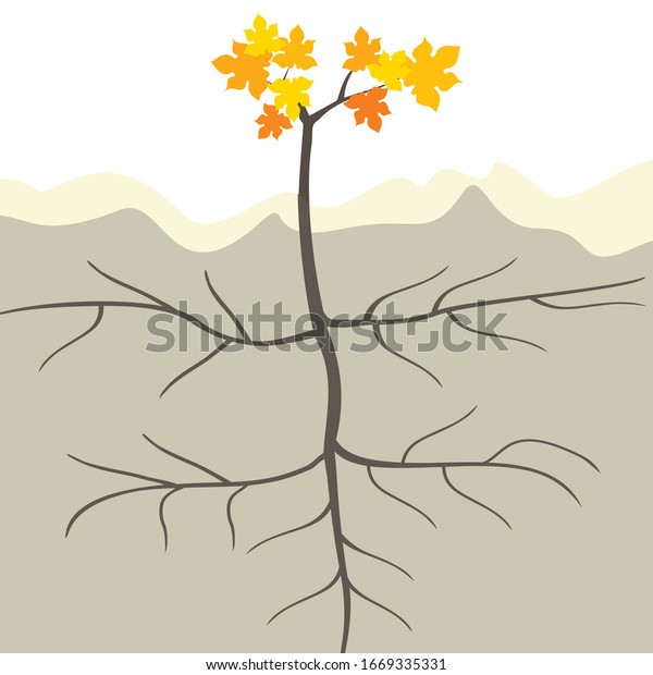 Fibrous Root Silhouette Illustration Plant Roots Stock Vector (Royalty ...
