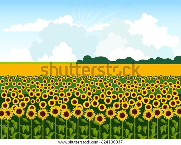 Field Sunflowers Vector Illustration Stock Vector (Royalty Free ...
