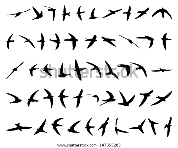 2,814 Swift Bird Stock Vectors, Images & Vector Art | Shutterstock