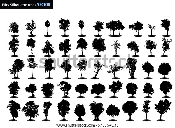 Fifty Trees Silhouettes Vector Black Tree Stock Vector (Royalty Free ...