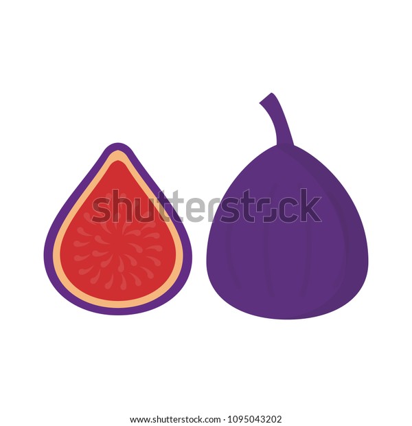 Fig Icon Flat Style Isolated Vector Stock Vector (Royalty Free) 1095043202