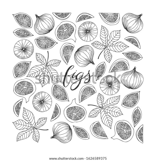 Fig Lettering Fruit Doodle Poster Stock Stock Vector (Royalty Free ...