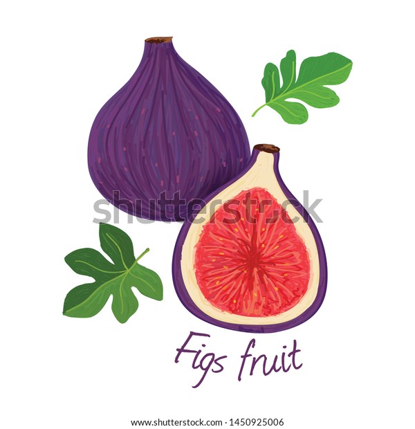 Dibuja dibujos de doodle de frutas ilustración vectorial.
