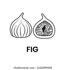 2,537 Fig outline Stock Illustrations, Images & Vectors | Shutterstock