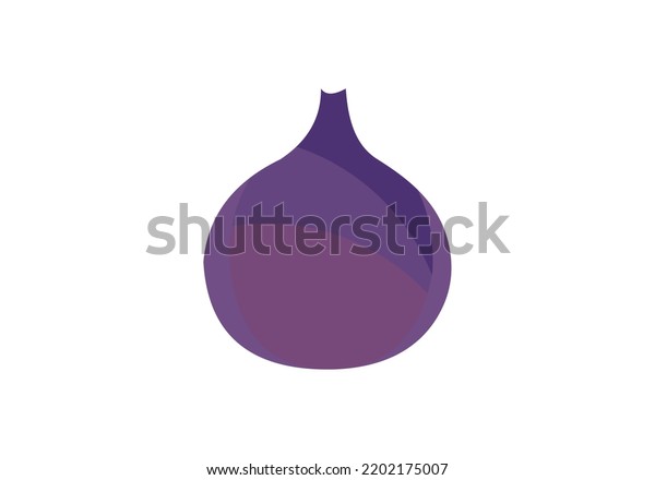 Figs Vector Illustration Isolated On White Stock Vector (Royalty Free ...