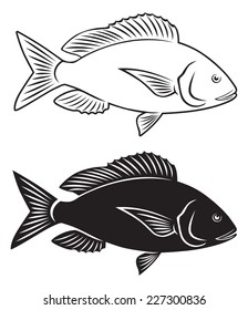 90 Dentex snapper Images, Stock Photos & Vectors | Shutterstock