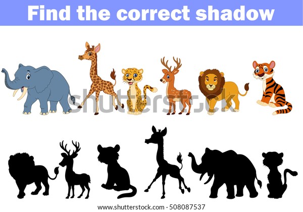 48,344 Match Shadow Images, Stock Photos & Vectors | Shutterstock