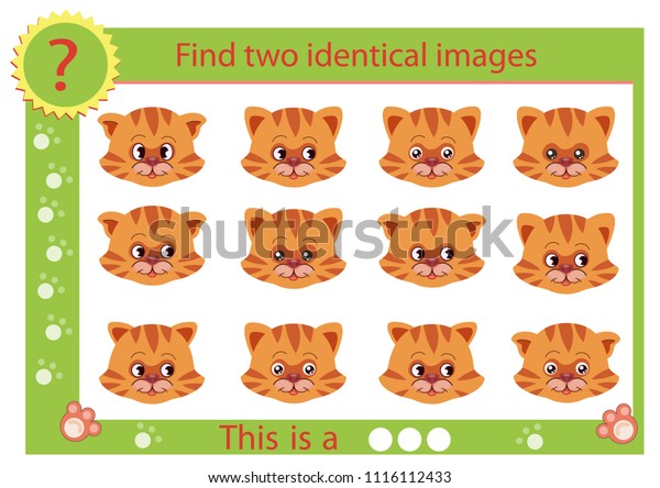 Find Two Identical Images Cat Seek Stock Vector (Royalty Free ...