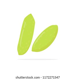 Finger Lime Fruit Illustration Vector Stock Vector (Royalty Free ...