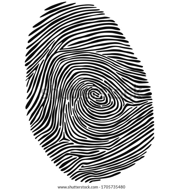 Fingerprint Drawn By Hand Abstract Vector Stock Vector (Royalty Free ...