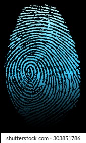Types Fingerprint Patterns Arch Loop Whorl Stock Vector (Royalty Free ...