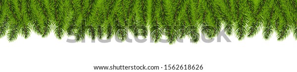 Fir Tree Border Isolated White Background: เวกเตอร์สต็อก (ปลอดค่า ...