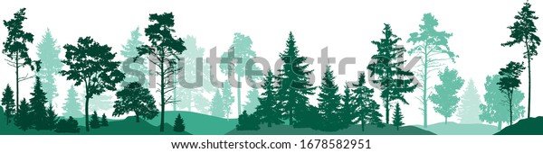 Fir Trees Forest Isolated On White Stock Vector (Royalty Free ...