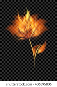 611 Fire rose logo Images, Stock Photos & Vectors | Shutterstock