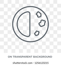 First Quarter Icon First Quarter Design Stock Vector (Royalty Free ...