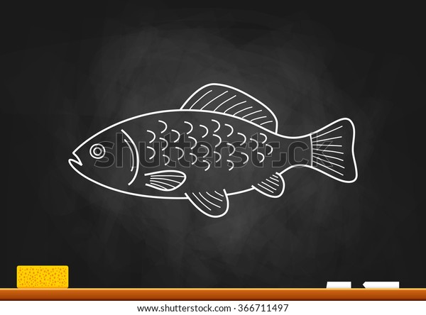 Fish Drawing On Blackboard Stock Vector (Royalty Free) 366711497