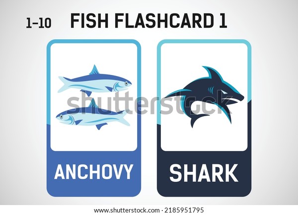 Fish Flashcards Kids Educational Cards Preschool 库存矢量图（免版税）2185951795 ...