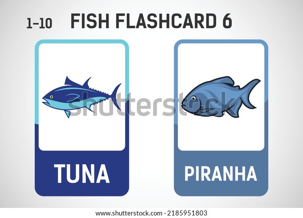 Fish Flashcards Kids Educational Cards Preschool 库存矢量图（免版税）2185951803 ...