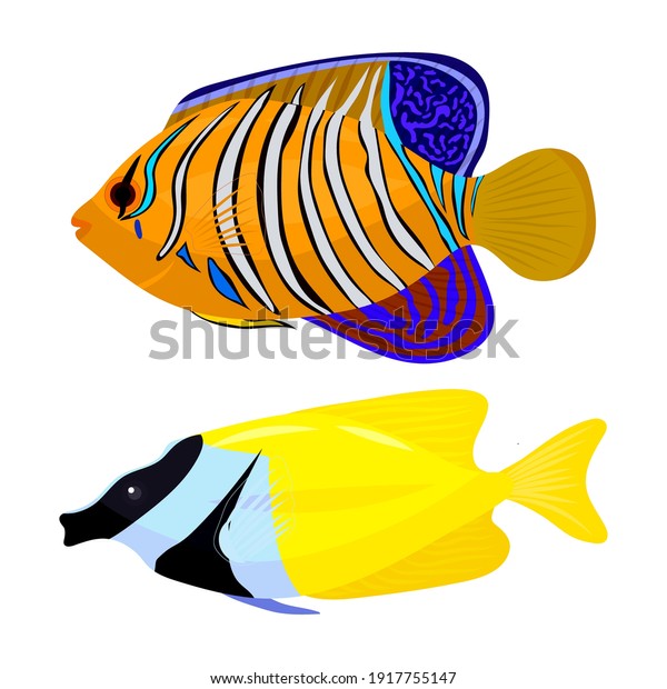 Fish Fox Yellow Fish Angel Vector Stock Vector (Royalty Free) 1917755147