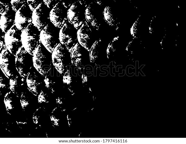 Fish Scales Texture Scales Backgroundgrunge Texture Stock Vector ...