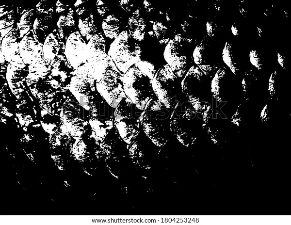 Fish Scales Texture Scales Backgroundgrunge Texture Stock Vector ...