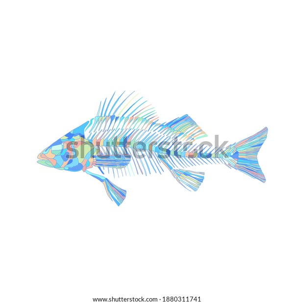 Fish Skeleton Zoology Cartoon Vector Random Stock Vector (Royalty Free ...