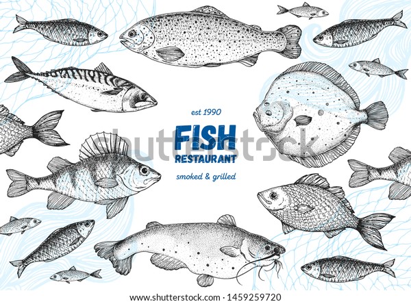 Fish Sketch Collection Hand Drawn Vector Stock Vector (Royalty Free ...