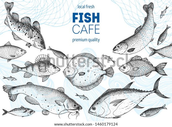 Fish Sketch Collection Hand Drawn Vector Stock Vector (Royalty Free ...