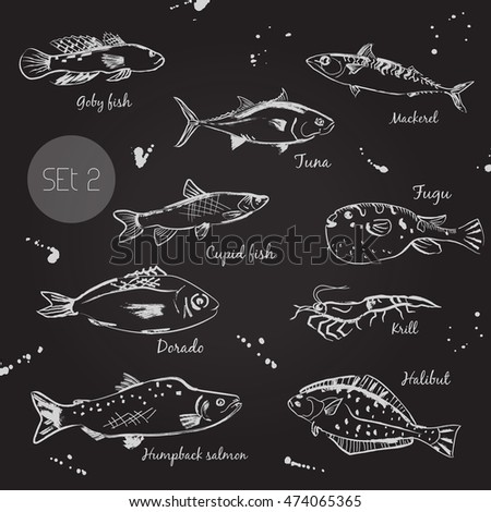 Fish Sketch Vector Isolated Illustration Set Stock Vector (Royalty Free ...