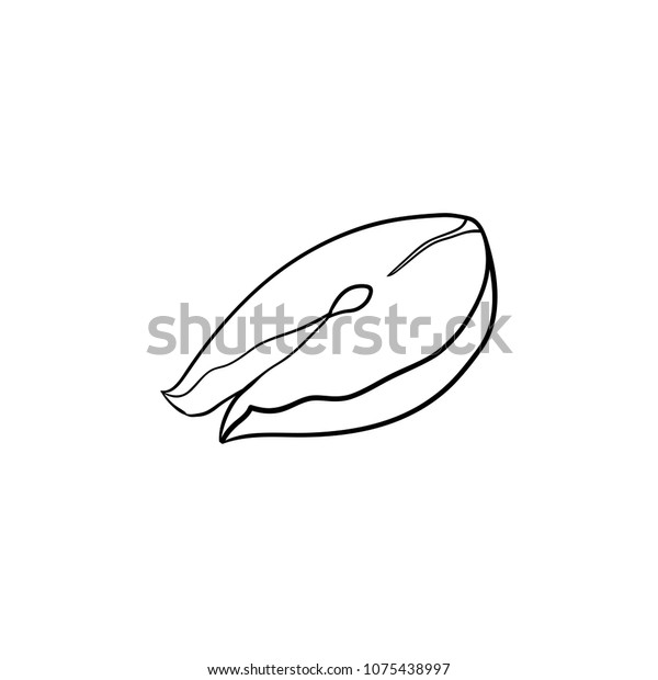 Fish Steak Hand Drawn Outline Doodle Stock Vector (Royalty Free ...