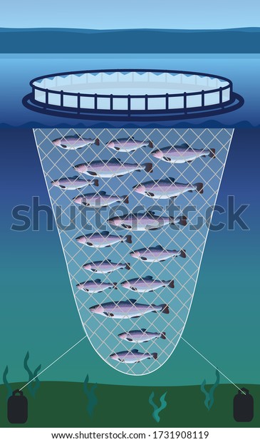 Fish tank. Grid for growing aquaculture. swimming pool for fish farming ...