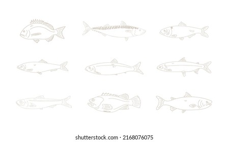 Fish Vector Sketch Illustration Set Stock Vector (Royalty Free ...