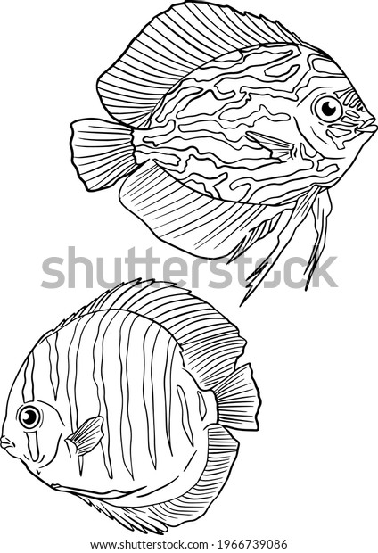 Fishing Discus Sketch Collection Hand Drawn Stock Vector (Royalty Free ...