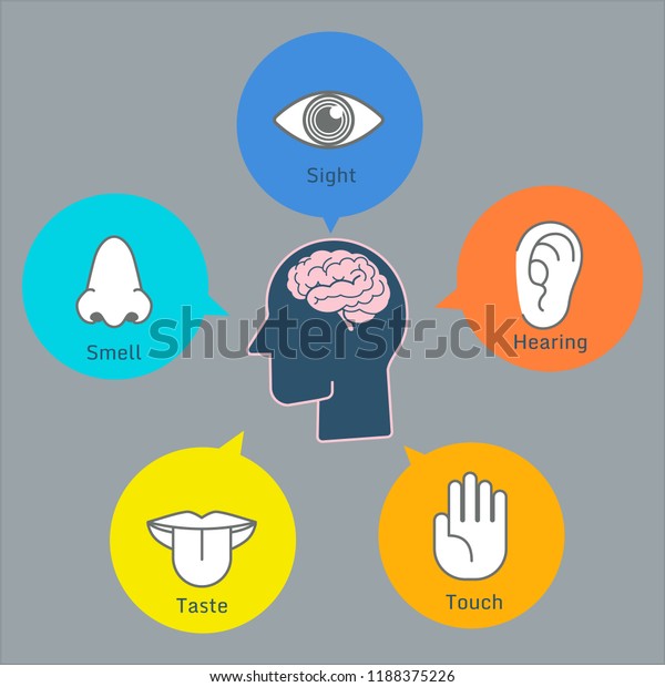 Five Human Senses Demonstration Color Icon Stock Vector (Royalty Free ...