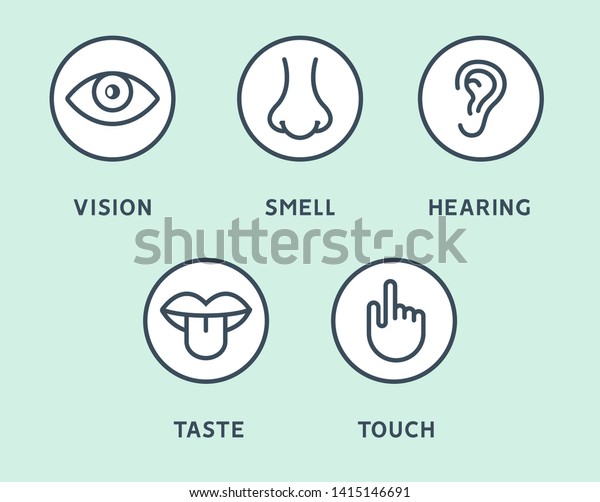 Five Human Senses Vision Eye Smell Stock Vector (Royalty Free ...