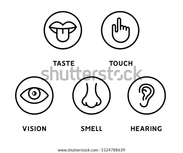 Five Human Senses Vision Eye Smell Stock Vector (Royalty Free ...