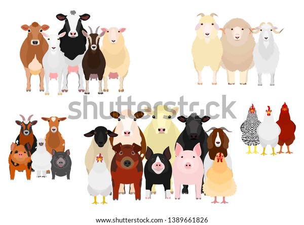 Five Livestock Groups By Purpose Stock Vector (Royalty Free) 1389661826 ...