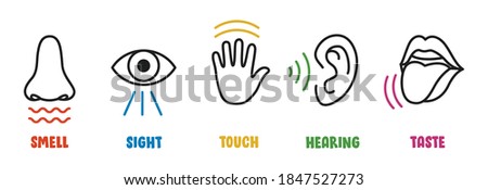 Sense Of Sight Clipart | Free download on ClipArtMag