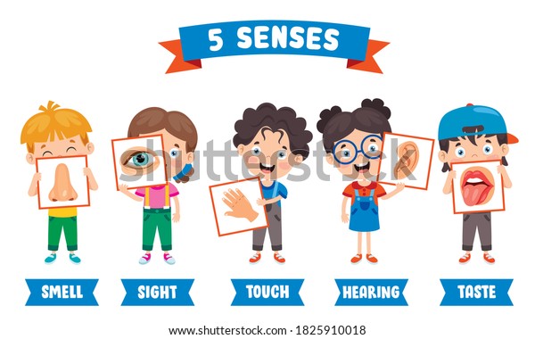 Five senses cartoon: 1 327 bilder, stockfoton och vektorer | Shutterstock