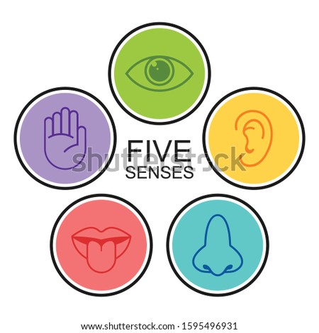 5 Senses Clipart | Free download on ClipArtMag