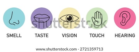 Sense Of Sight Clipart | Free download on ClipArtMag