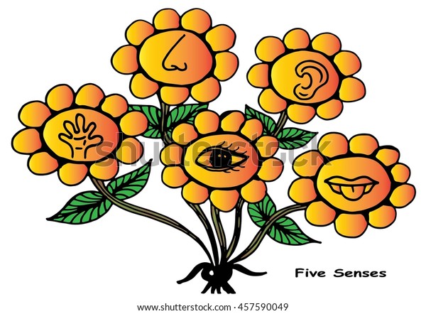 Five Senses Icon Sun Flower Leaf Stock Vector (Royalty Free) 457590049 ...